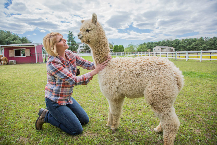 A Visit To The Alpaca And Adventure Farm | Alpaca Breeders of Vermont